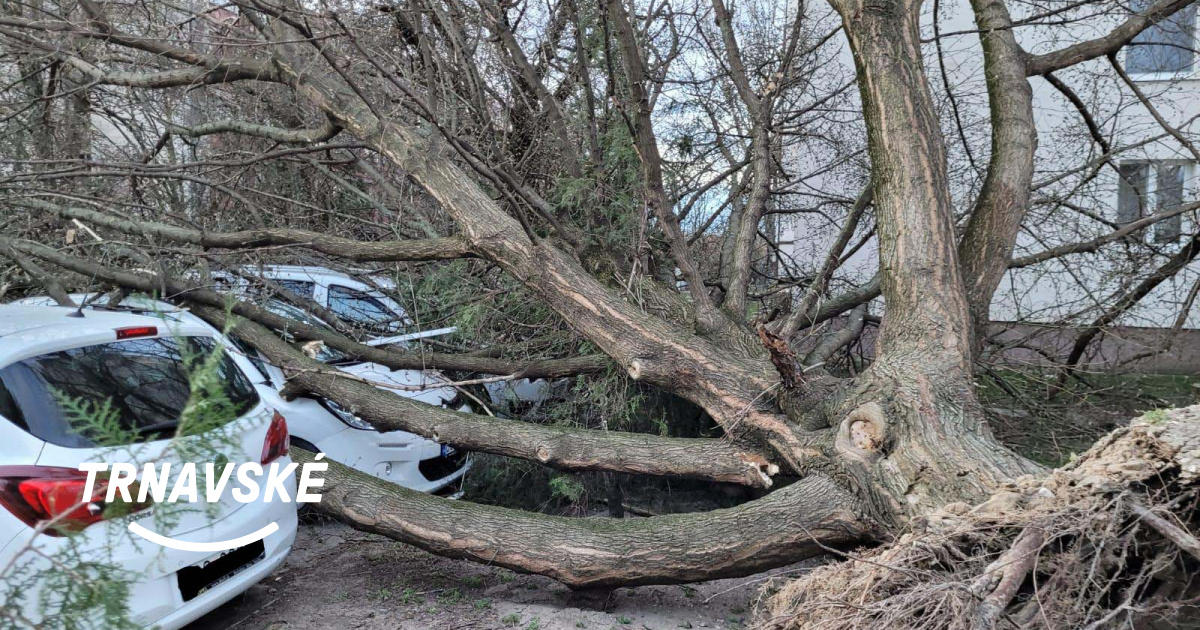 Včerajší vietor napáchal v našom kraji škody, hasiči mali takmer 80 zásahov | Trnavské rádio