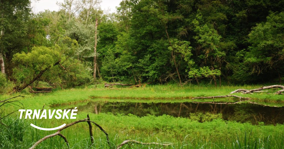 Nový národný park Podunajsko bude zasahovať až do Trnavského kraja ...
