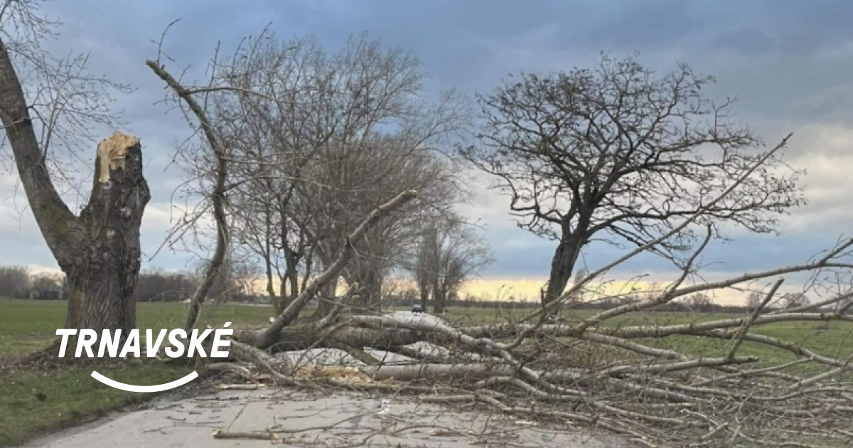 Vietor v našom kraji lámal stromy, ničil strechy, solárne panely, ale aj bilbordy | Trnavské rádio